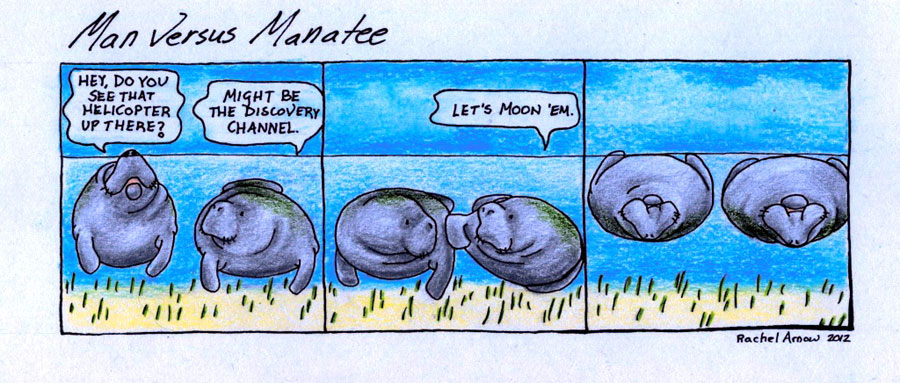 MANATEE CHAT: funny manatee pics