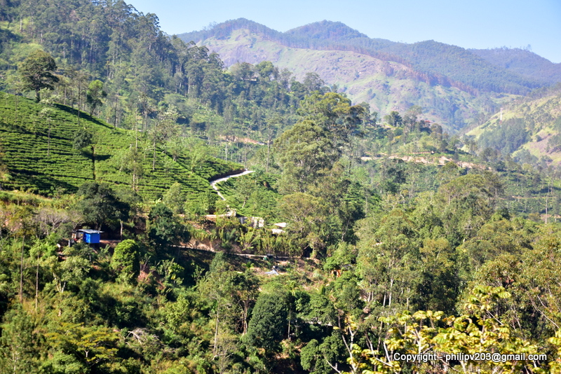 Images of Sri Lanka on blogspot.com: Bandarawela, on the Badulla ...