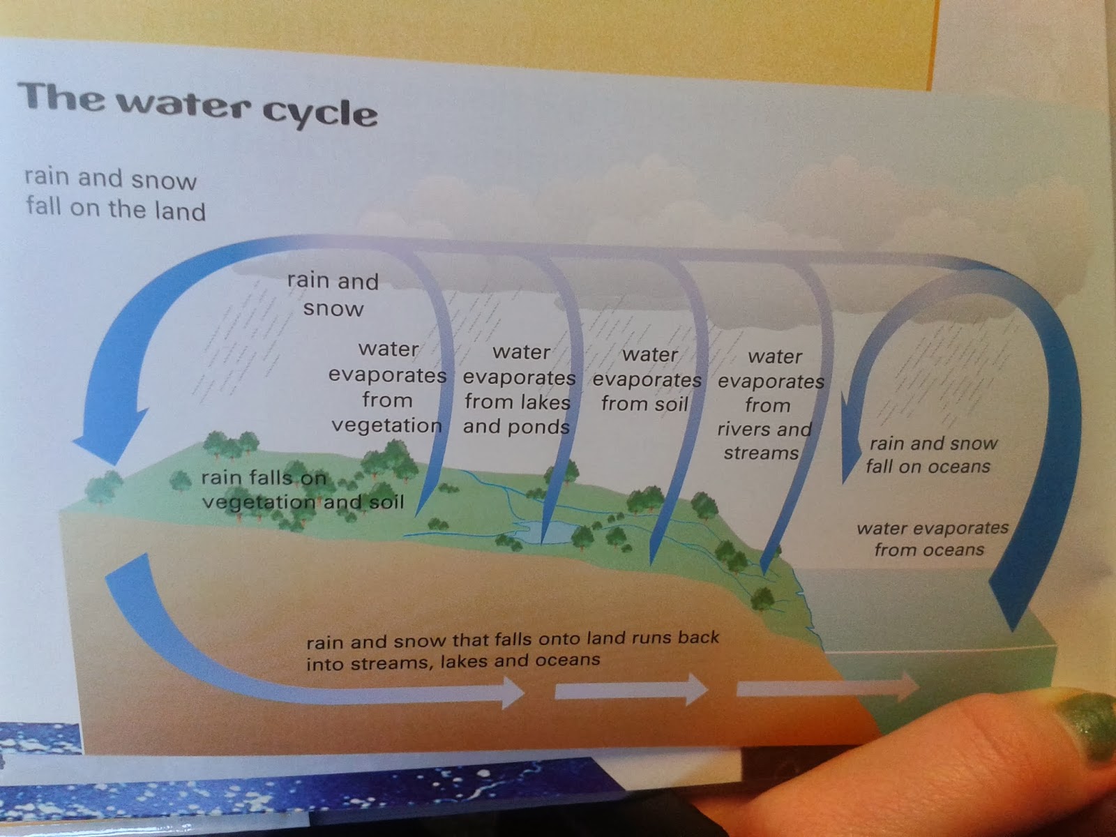 Abbie's Graphics Journal: Research - The Water Cycle