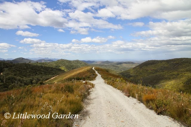 Littlewood Garden Lodge - Urlaub an der Gardenroute : Ausflug ins ...