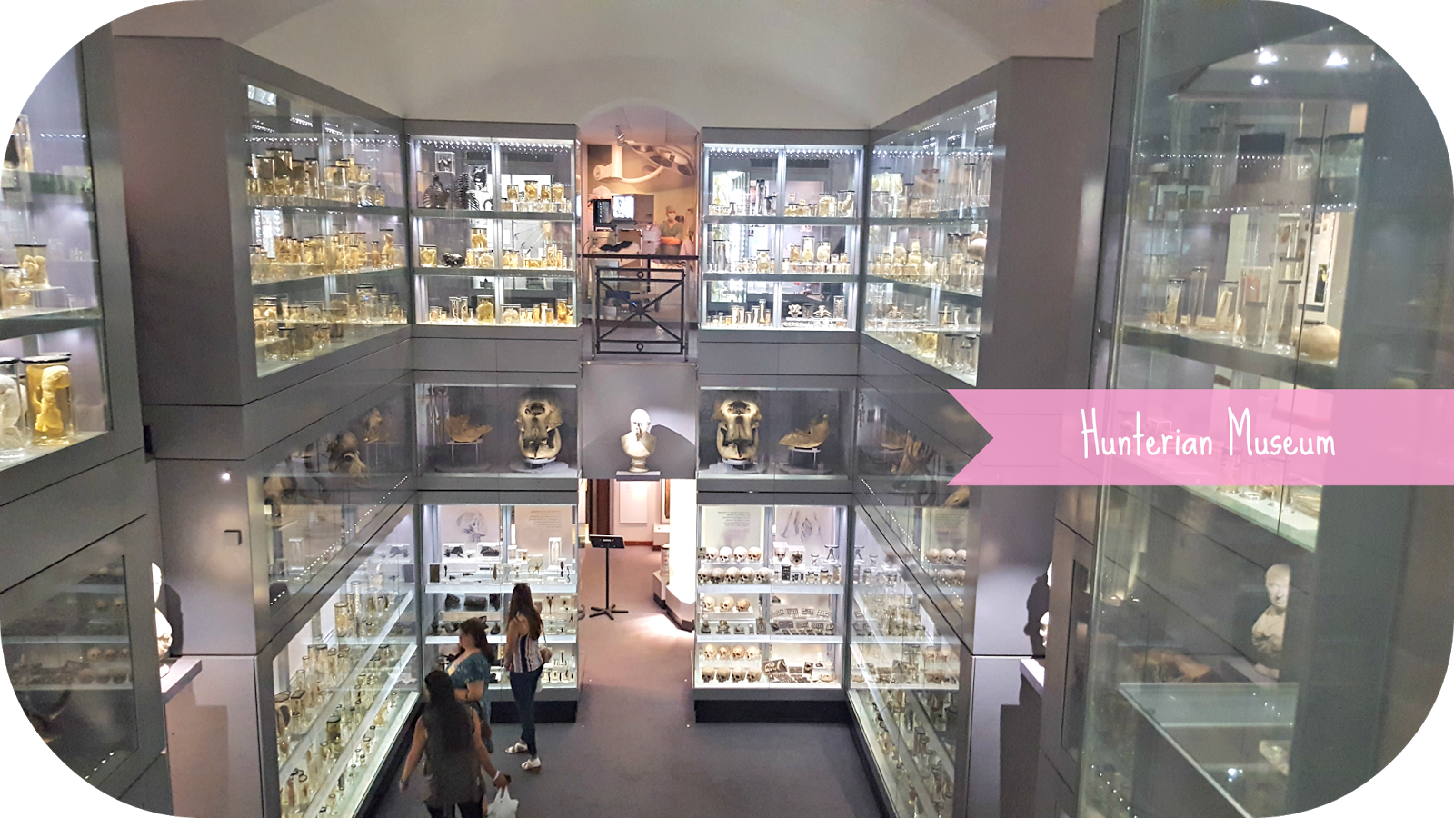 Hunterian Museum : Days Out Guide - Keyne To Explore