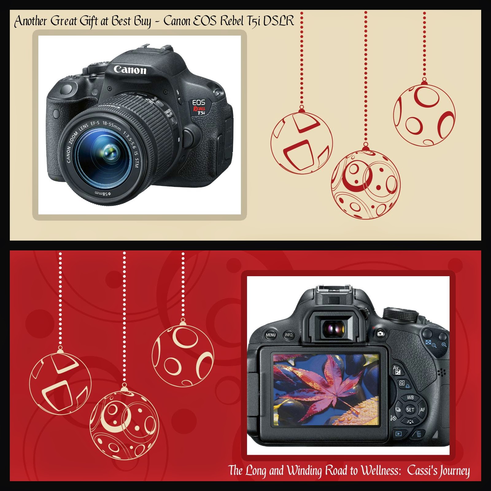 The Long and Winding Road to Wellness: Another Great Gift at Best Buy ...