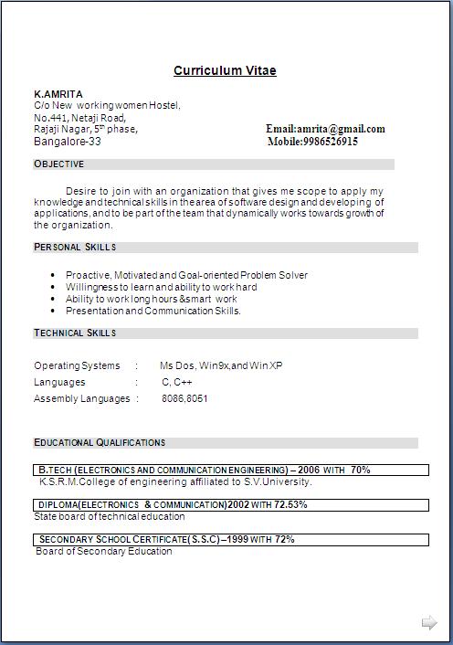 south african cv format
