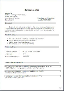 south african cv format