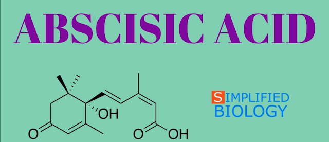 Acid Abscisic là gì và vai trò của Acid Abscisic