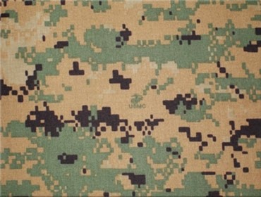 Engineered Gaming: Tutorial: USMC in Woodland MARPAT