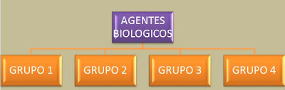 FORMACIÓN ORIENTATIVA LABORAL: AGENTES BIOLÓGICOS