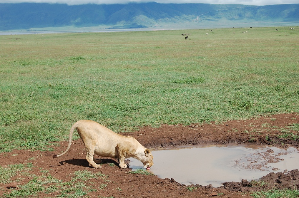 MATUKIO @ MICHUZI BLOG: Wafanyakazi Bora wa Mamlaka ya Bandari (TPA ...