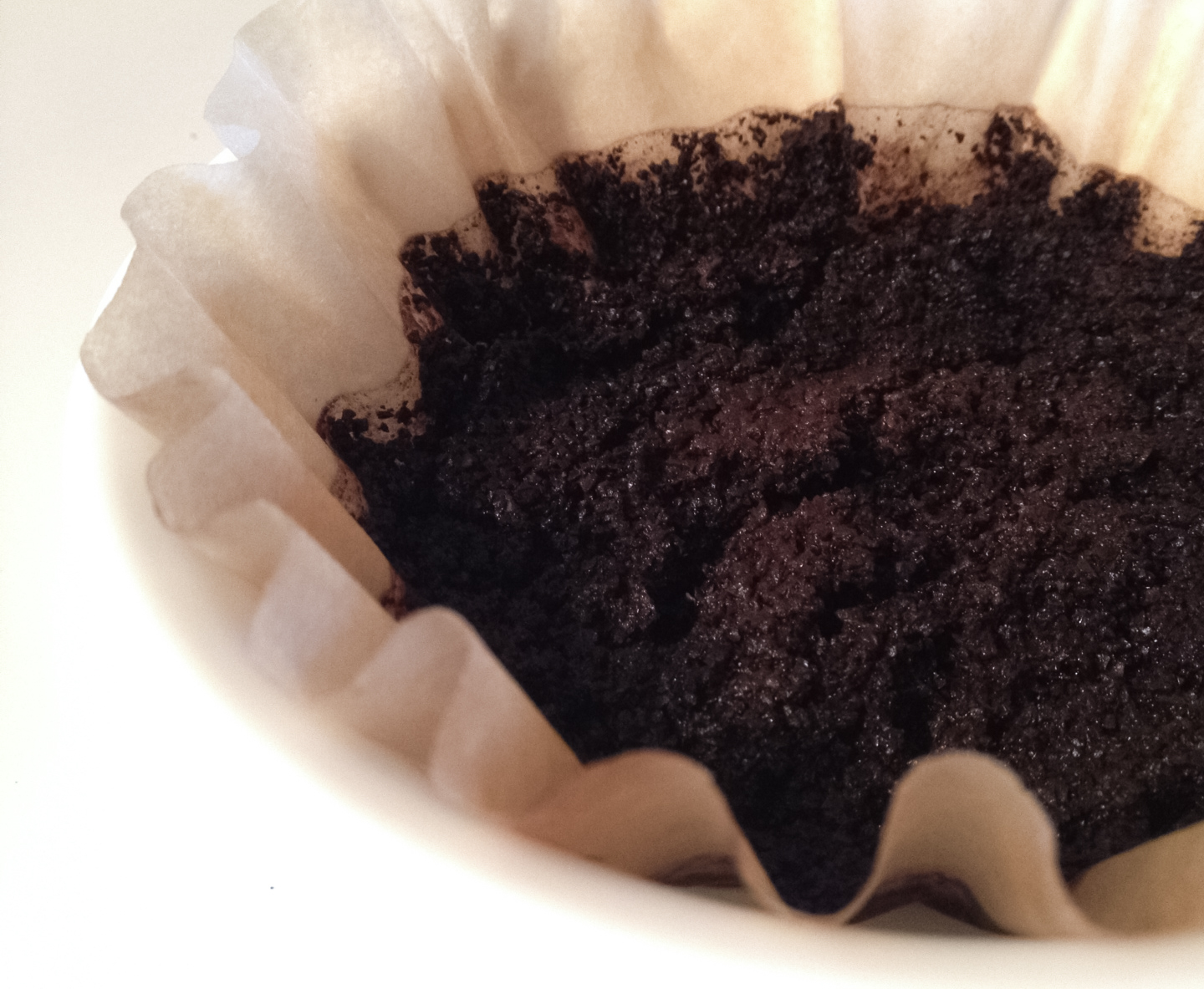 Bella Luna: DIY Coffee Ground Facial Mask