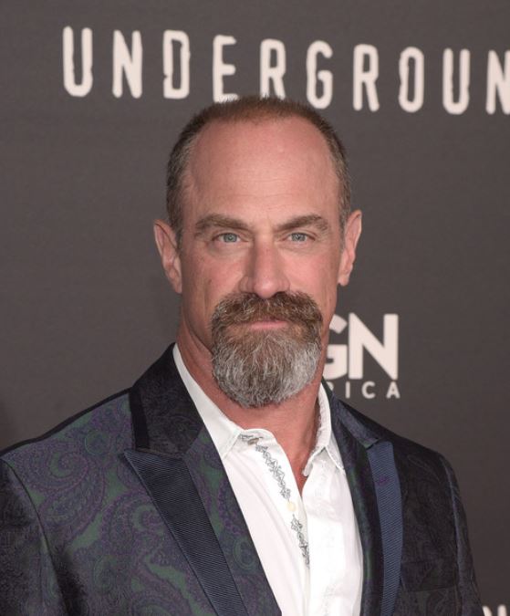 These Are Their Stories: Chris Meloni Attends WGN America's ...