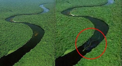 Top 10 Mysterious Deep Sea Creatures Caught on Camera | Evortless