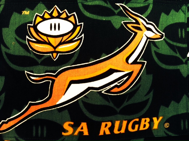 an african girl: Enjoying the Rugby World Cup - go Bokke!!!