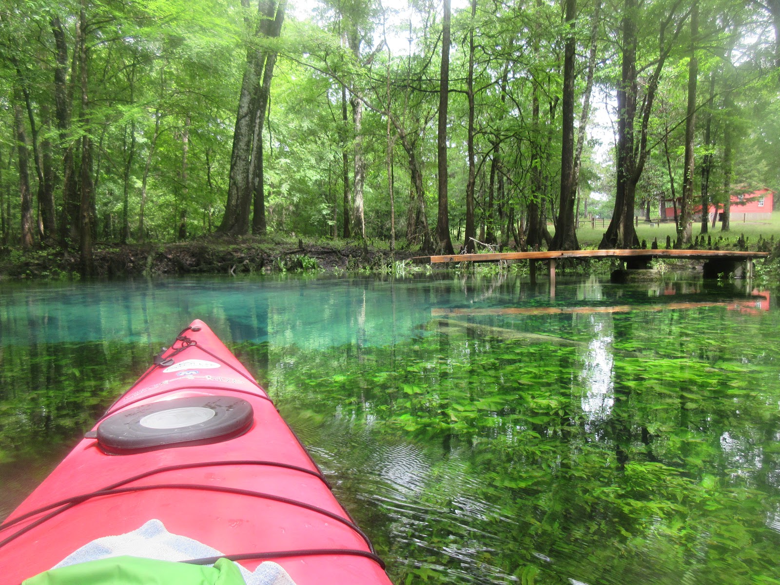 Dave's Yak Tales: Chipola River, April 15, 2018