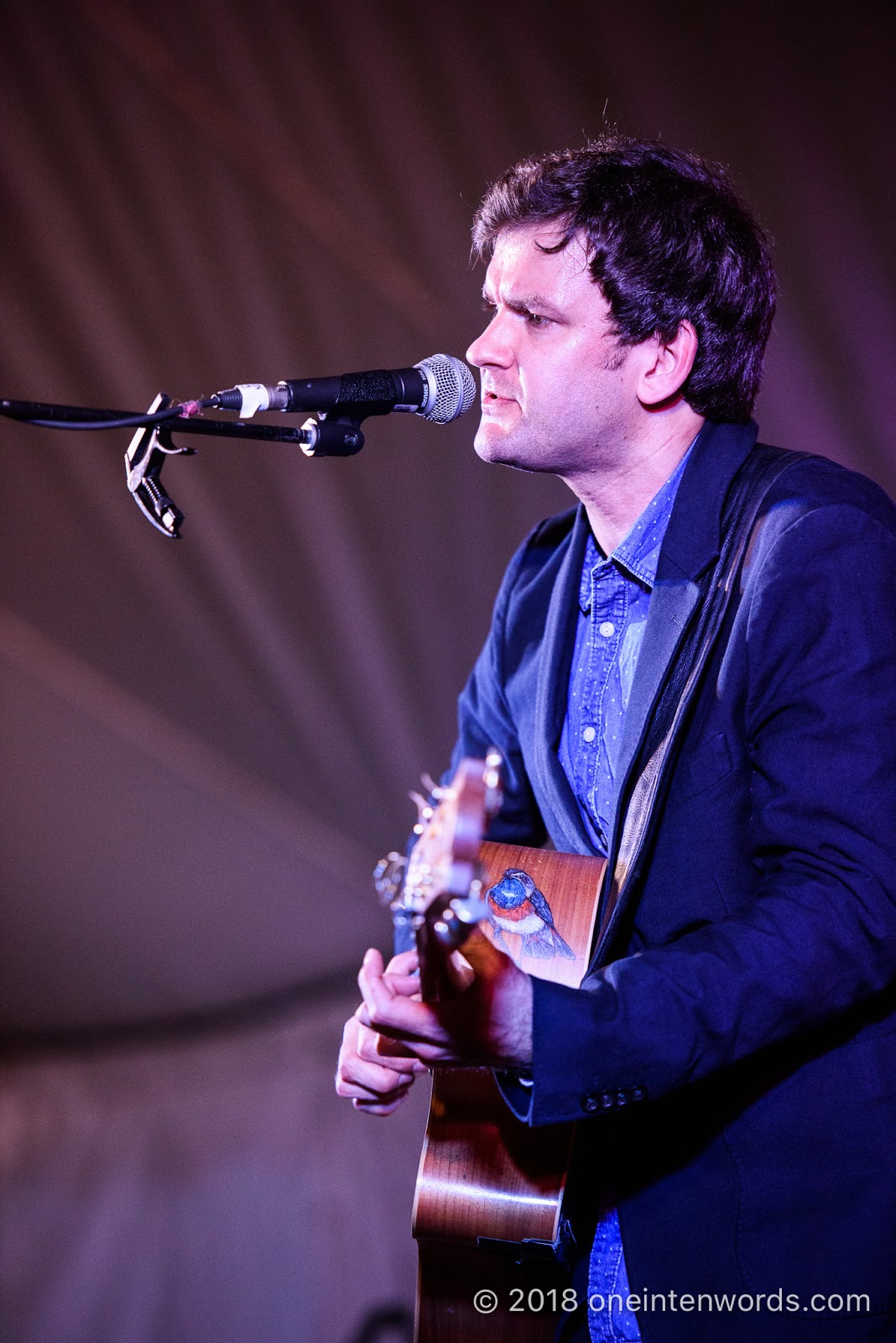 one in ten words: Hillside 2018: Day 1: Daniel Champagne - Concert Photos