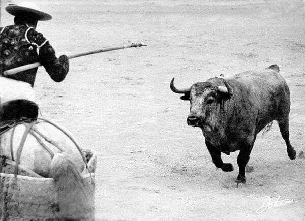 Toro, Torero y Afición: "No se puede torear con el alma a un toro tan ...