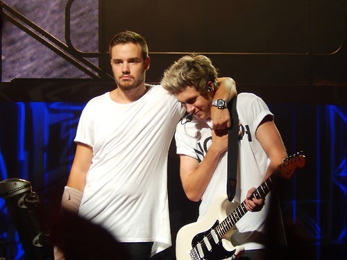 One Direction Girls ♥: Concierto en Charlotte, EEUU.-Where We Are Tour ...