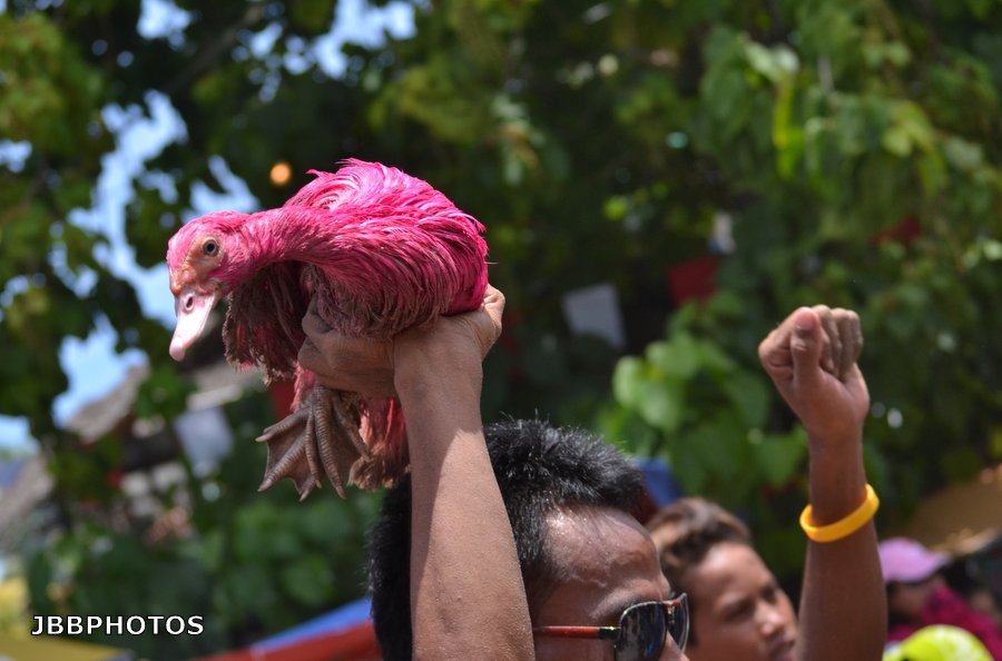 Photographs as Memories: Olango's Baliw -Baliw Festival 2013