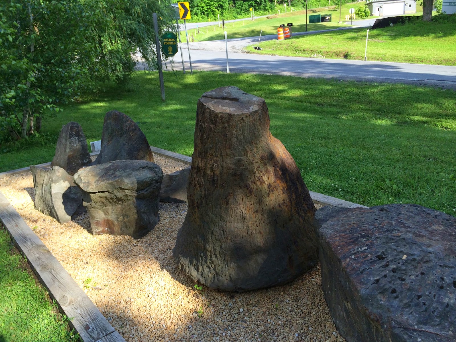 venturing4th: Gilboa Forest