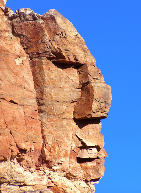 TYWKIWDBI ("Tai-Wiki-Widbee"): Mimetoliths