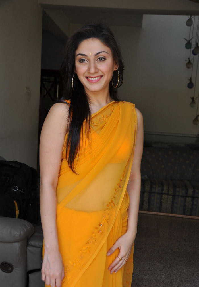 Manjari Fadnis in Orange Saree ~ Indian Hot Actress Pictures Collections