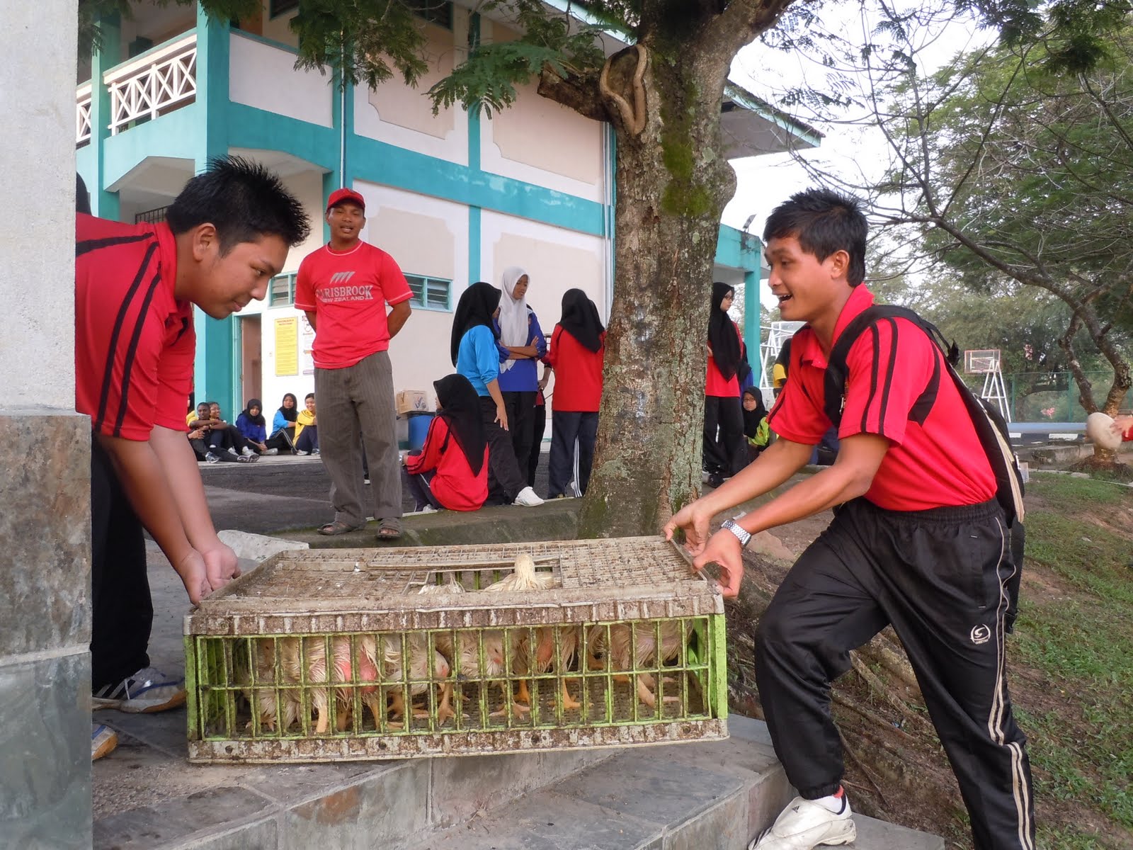 PROGRAM AMALI SEMBELIHAN | SM Sains Selangor
