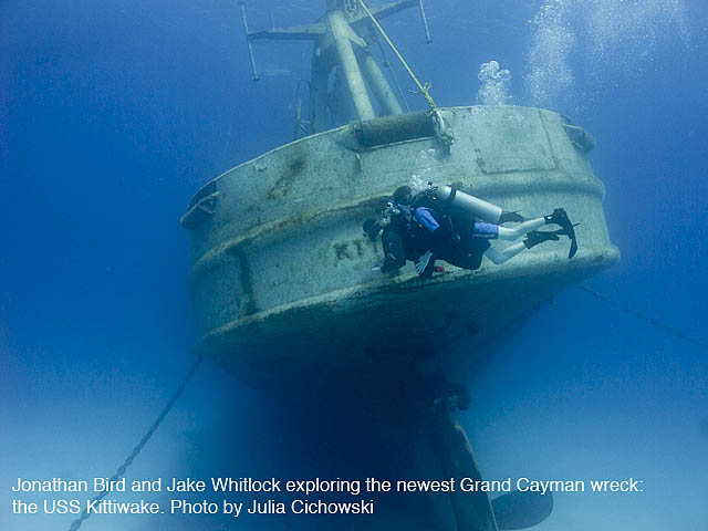 Jonathan Bird's Blue World