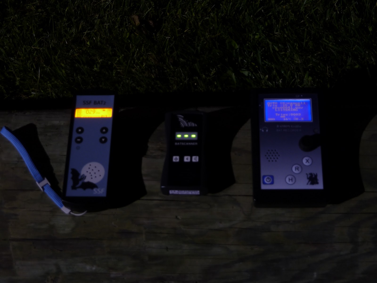 Full Spectrum Bat Detector