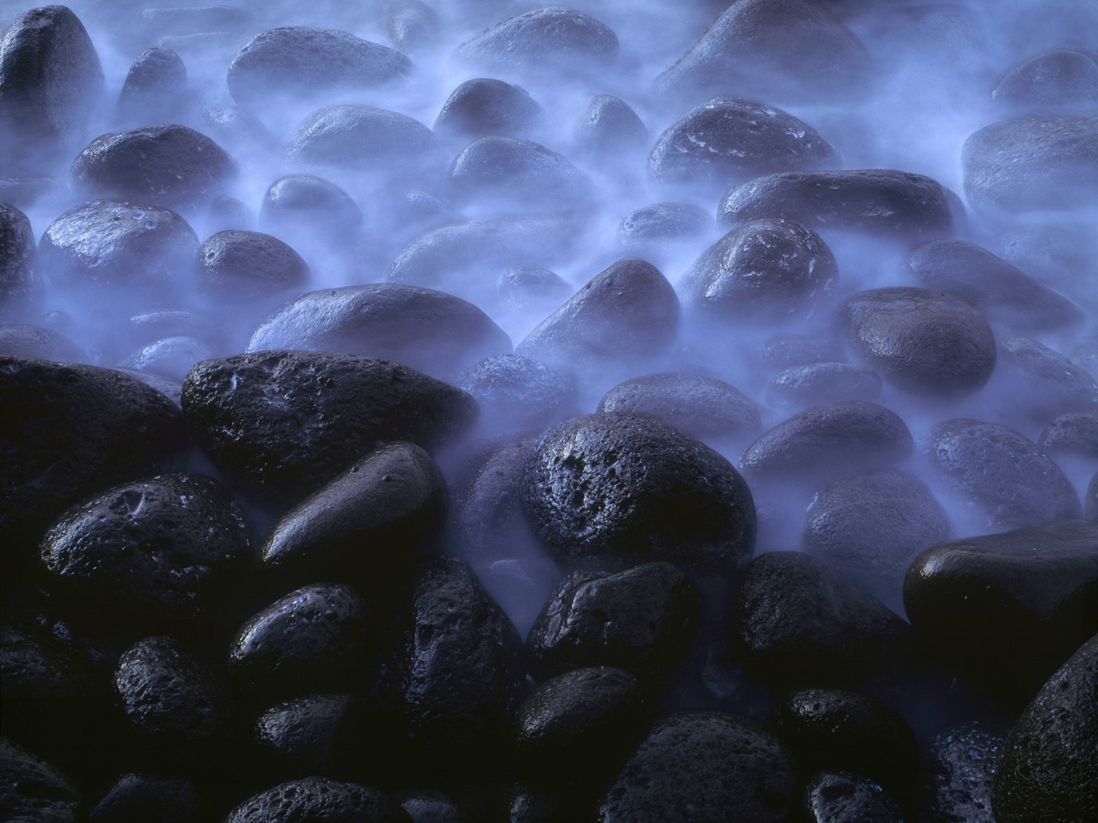 Necharal | HD Wallpaper