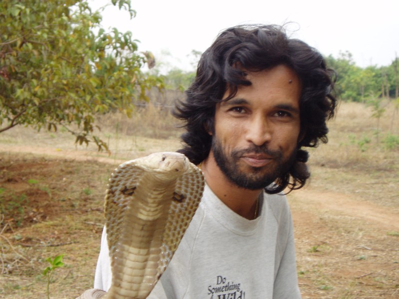 Wild life: Romulus Whiteker