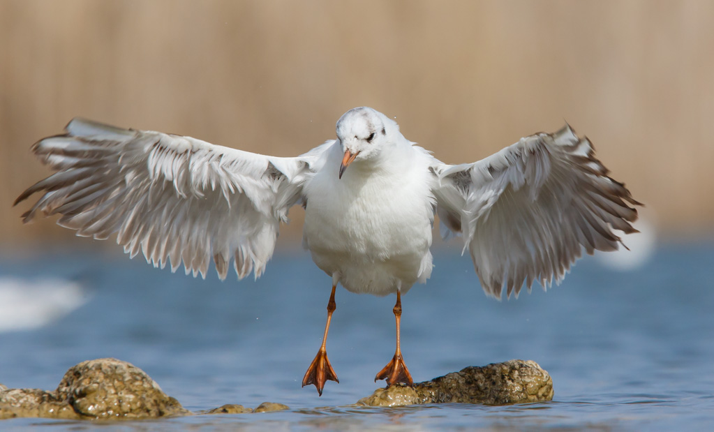 Nikos Fokas Photopraphy Blog