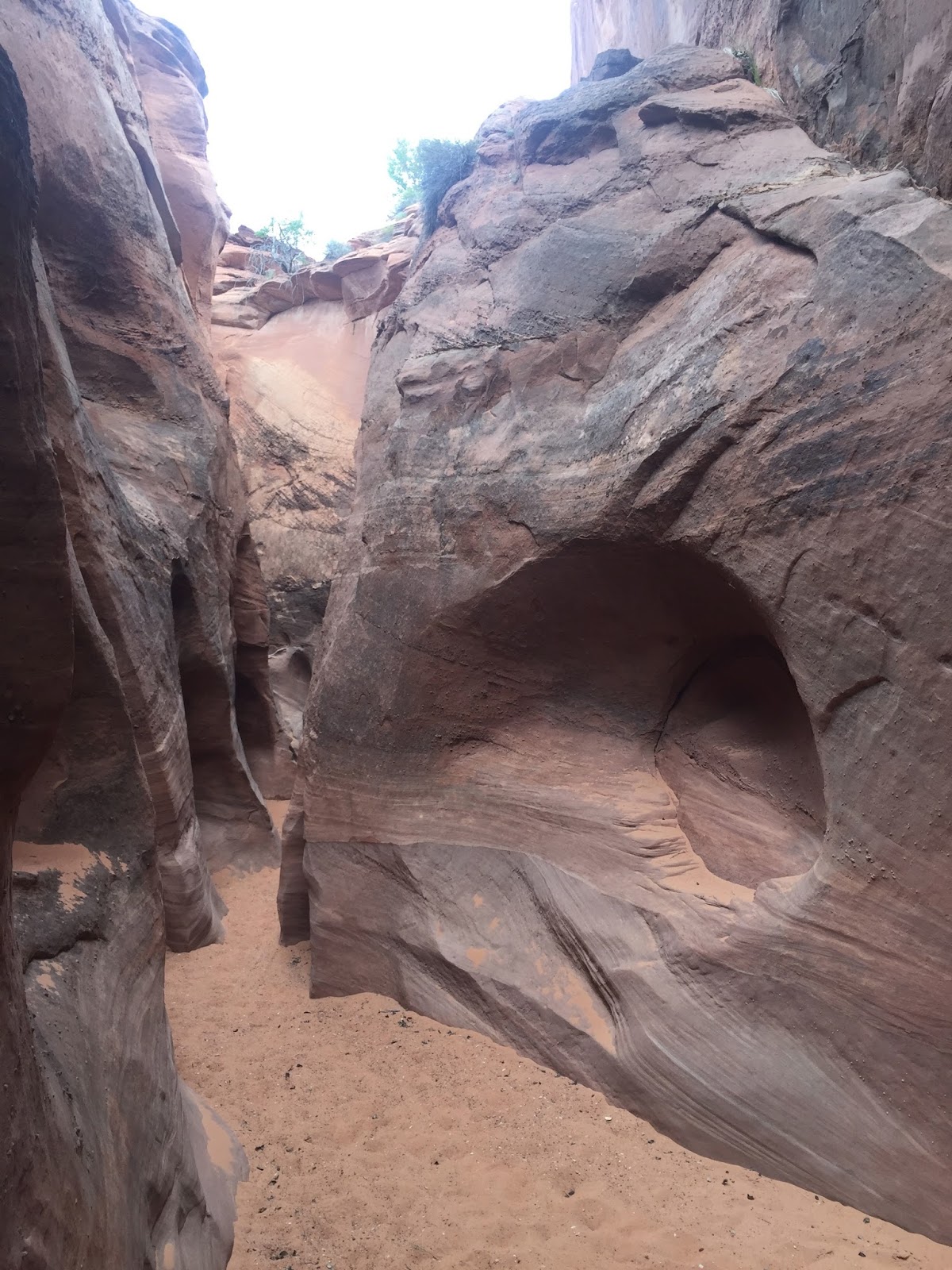 Three Hiking Sisters: Peek-A-Boo Gulch, Spooky Gulch and Dry Fork Narrows