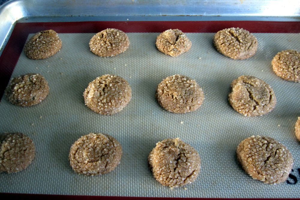 Happy Go Marni: Exotic Spice Cookies with Ginger, Cardamom and Rose ...