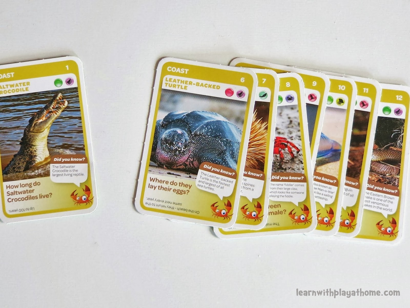 Learn with Play at Home: Learning about Animals with Aussie Animals ...