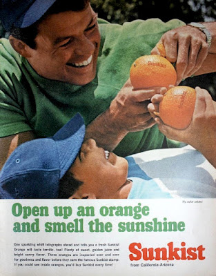 Pop '66!: Ads: Sunkist
