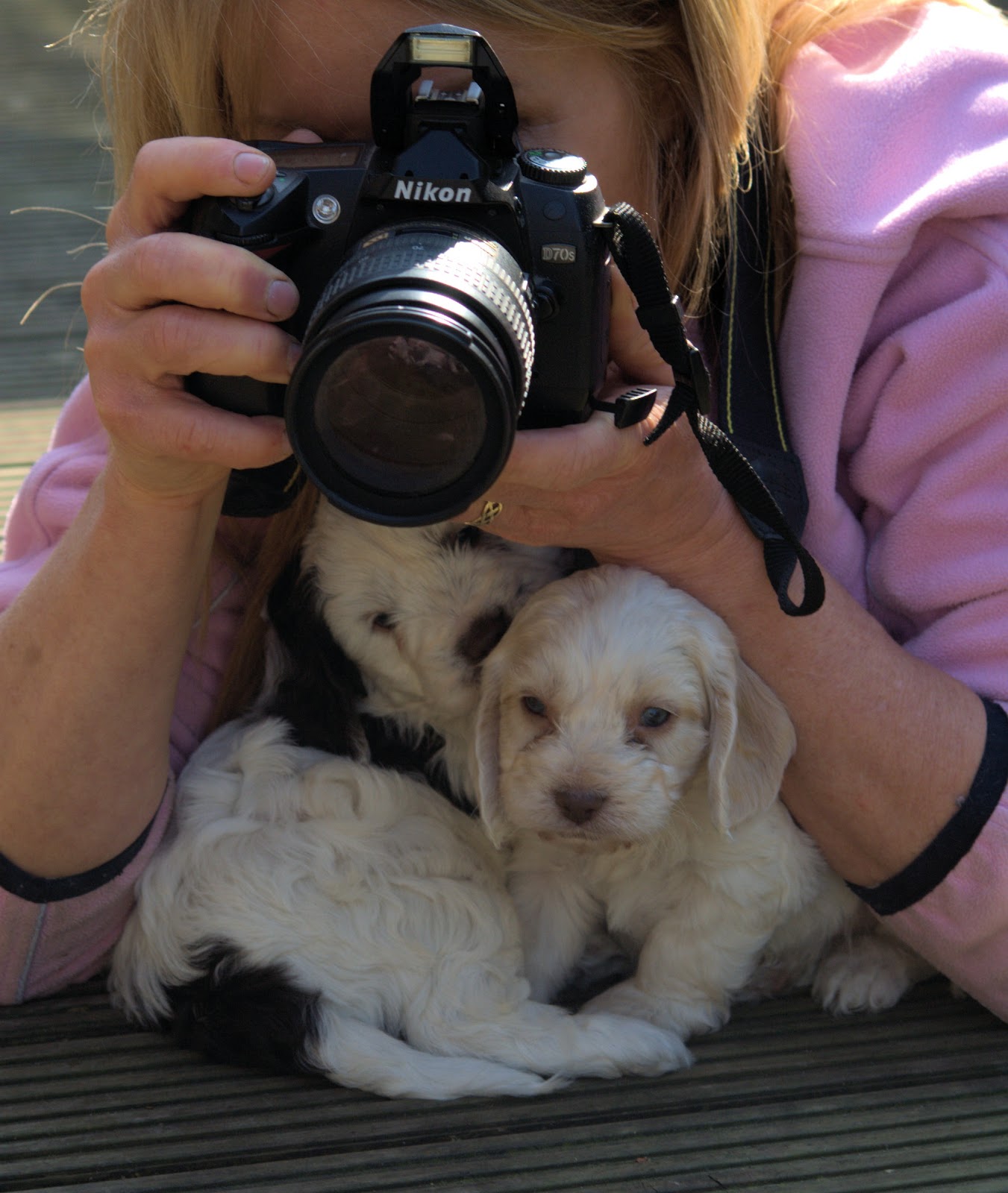 Jukee Doodles : Puppy Gallery