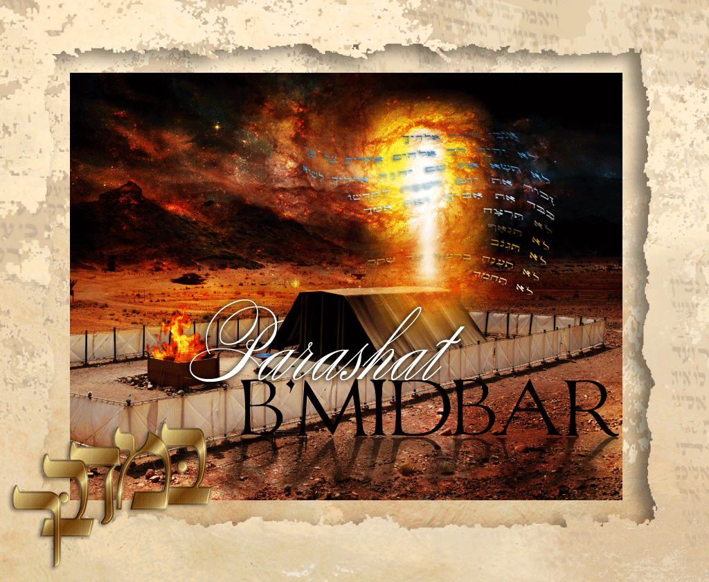 By His EVERY Word: The Long Walk Home | Parashat Bamidbar | By His ...