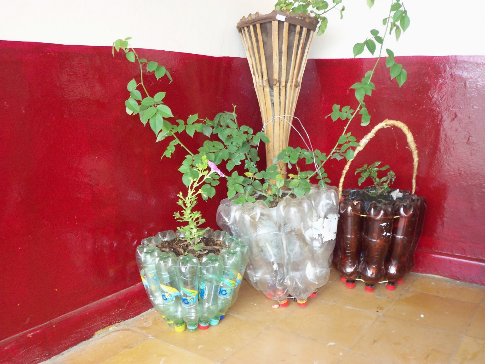 PROYECTO DE RECICLAJE EDUCATIVO MORALES CAUCA: MATERAS EN BOTELLAS ...