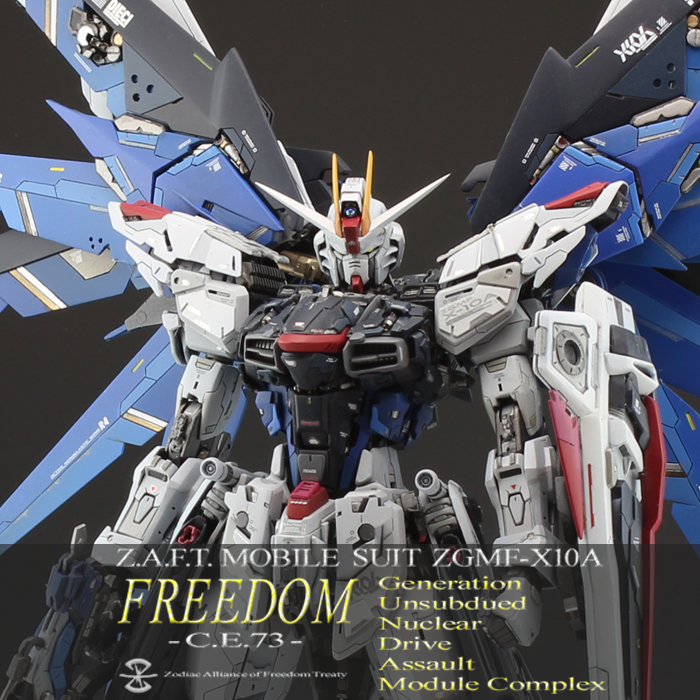 Custom Build: MG 1/100 Freedom Gundam Ver. 2.0 [Detailed]