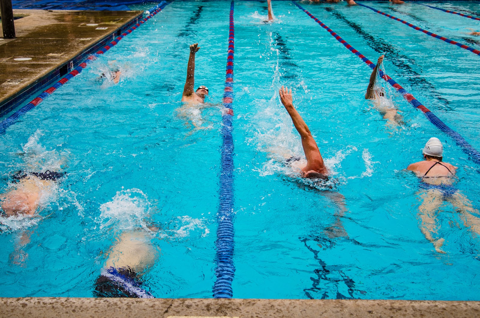 The Visual Science Lab / Kirk Tuck: Saturday Morning Swim.March 31, 2018.