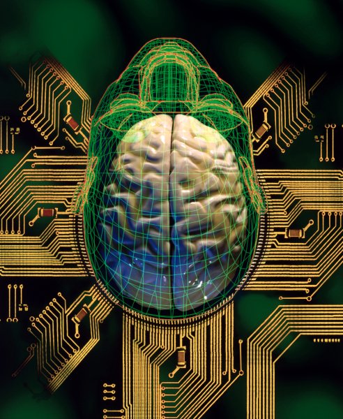 Al Fin: Human Brain Project Moves Toward Human Cortex Model