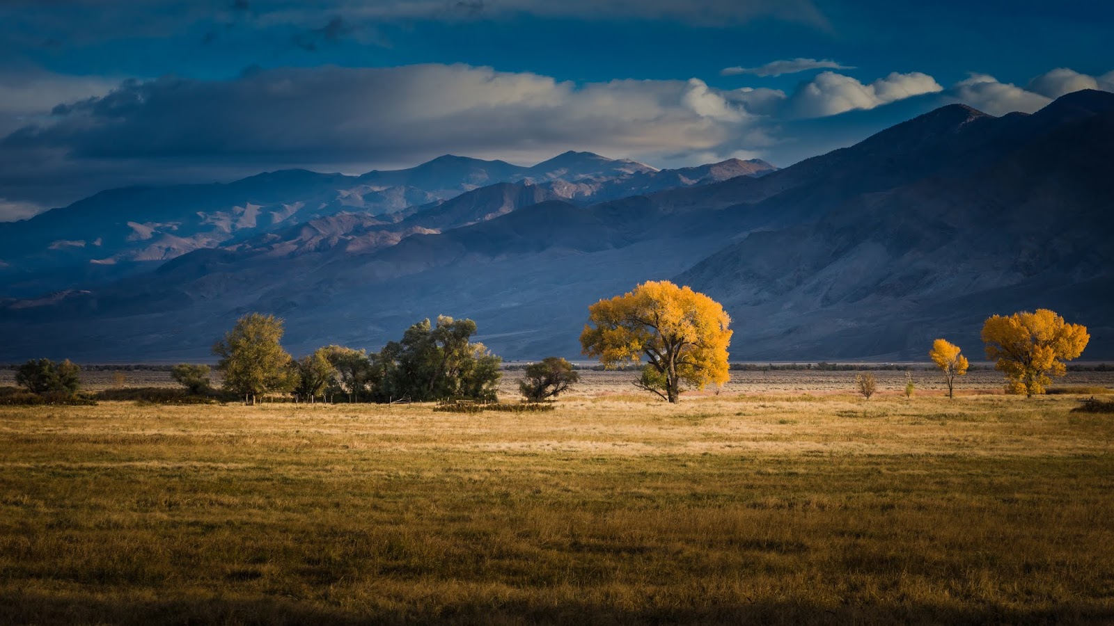 Pure High Definition HD Quality Wallpapers: Torrent 50 Wallpapers de ...