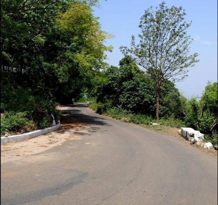 Tamilnadu Tourism: Kolli Hills