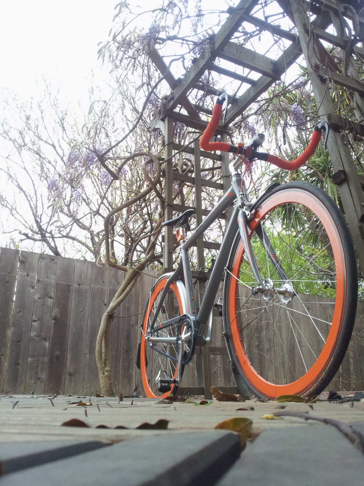 I Fixed It: First Impressions of a Belt Driven Fixed Gear : Bikes ...