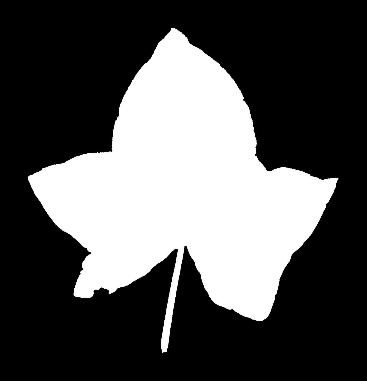 HIGH RESOLUTION TEXTURES: Leaf Textures