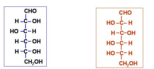 Explorando el mundo de la bioquimica: septiembre 2013