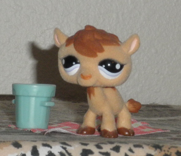 Collectomania: LPS Camel