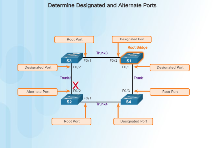 Scaling Networks [ CH3 ] - cisco academy