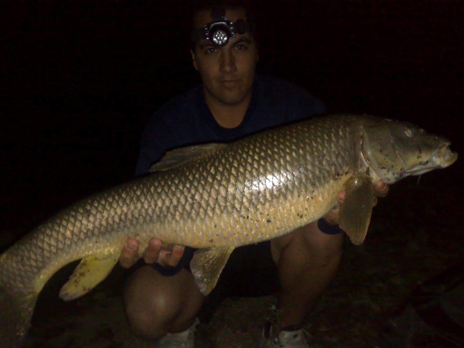 Carpfishing : UNA DE BARBOS