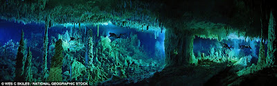 Scuba Diving Blog by Neutral Dive Gear: Breath-Taking Photos of the ...