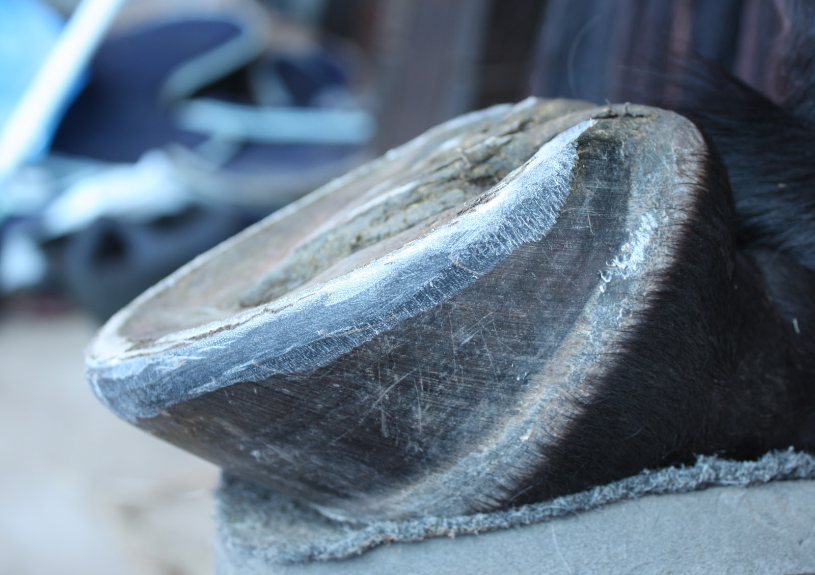 The Glorious Hoof: Concavity - Quick Notes